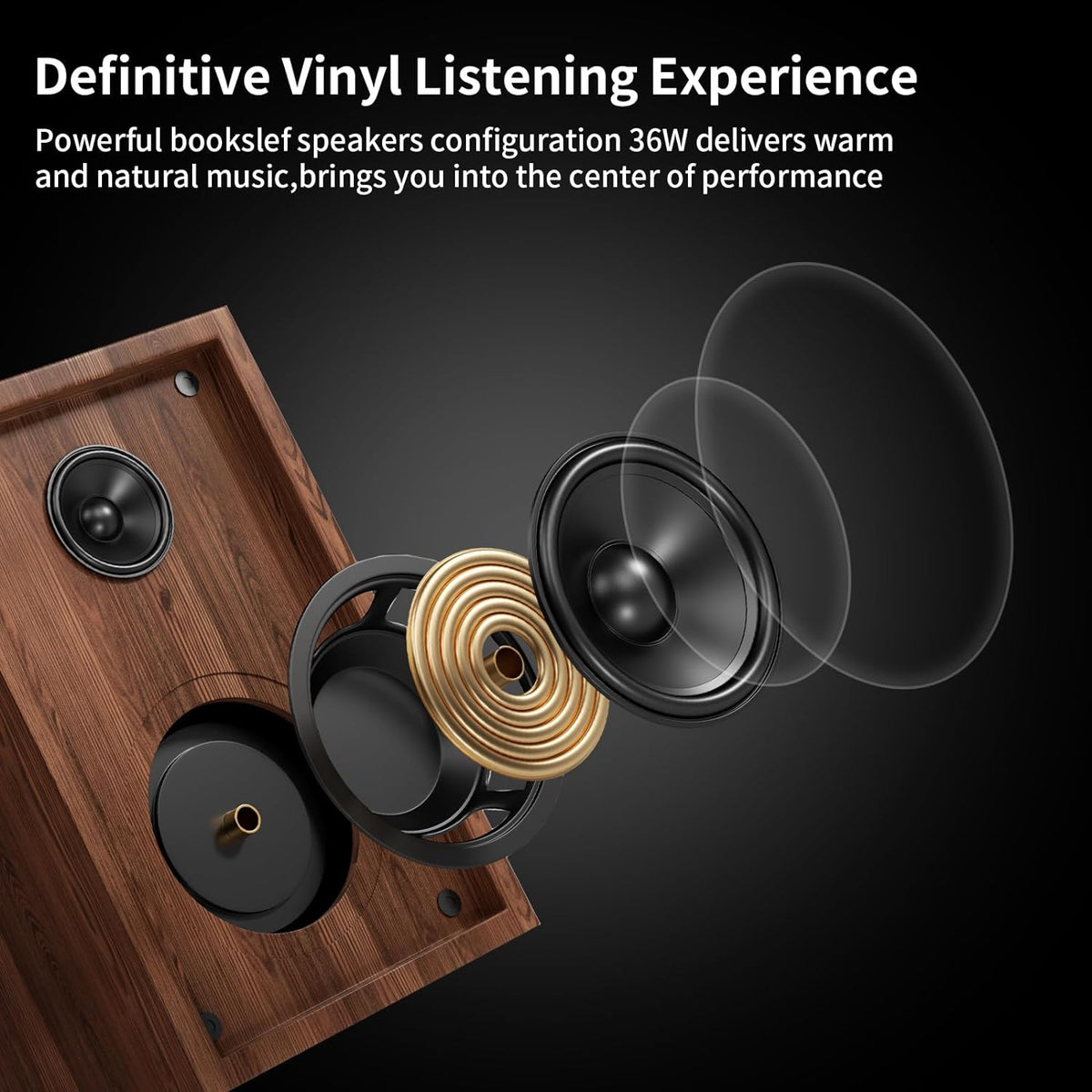 Vinyl Record Player with Magnetic Cartridge &Adjustable Counter Weight