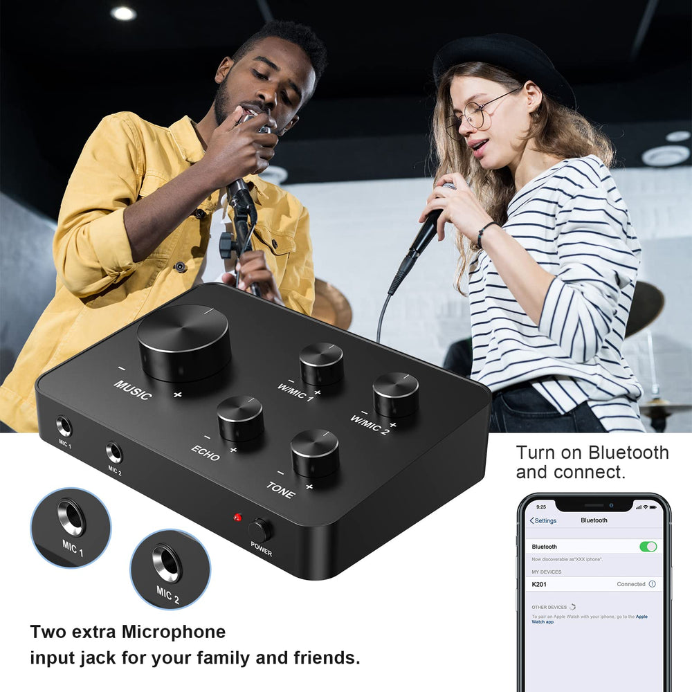 Digitnow Wireless Microphones – Karaoke Microphone Mixer System